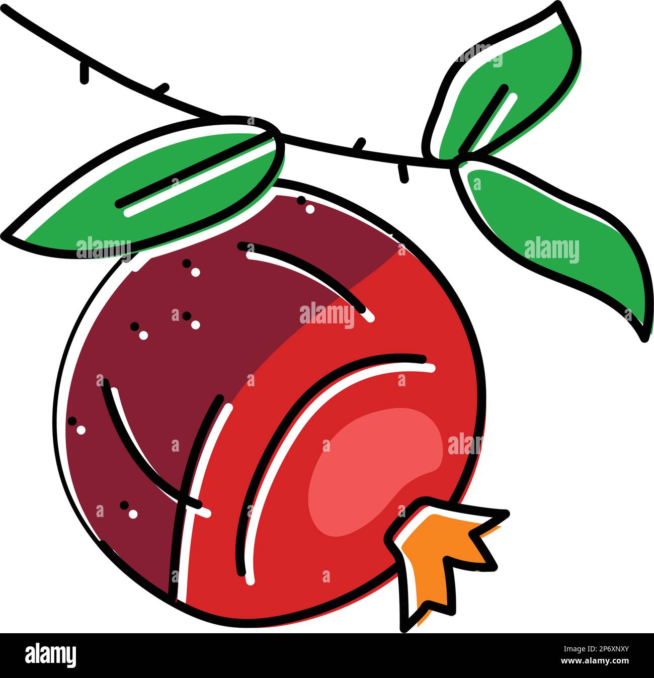 Branch pomegranate tree half ripe hi-res stock photography and images ...
