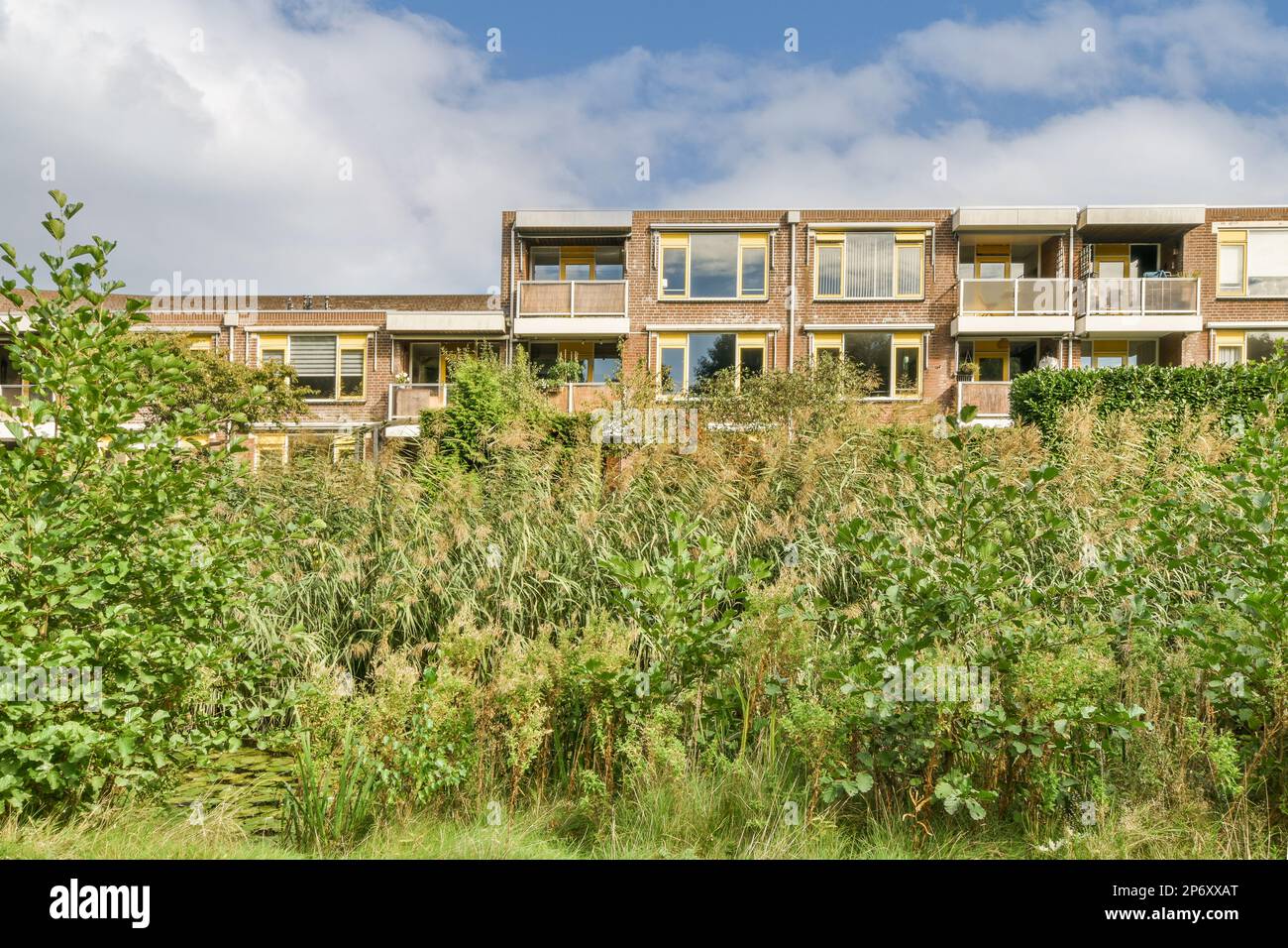 an apartment complex in the middle of a field with tall grass and trees ...