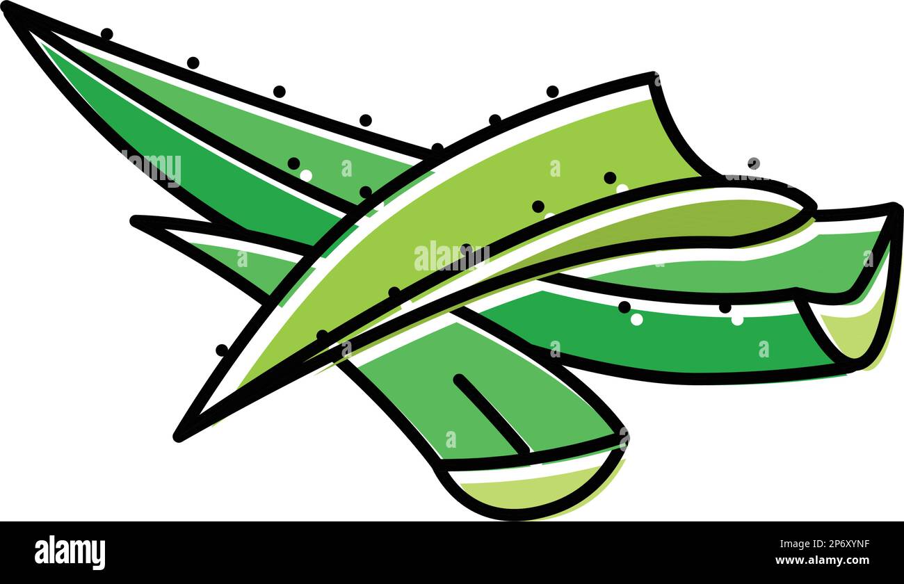 fresh aloe vera color icon vector illustration Stock Vector Image & Art ...