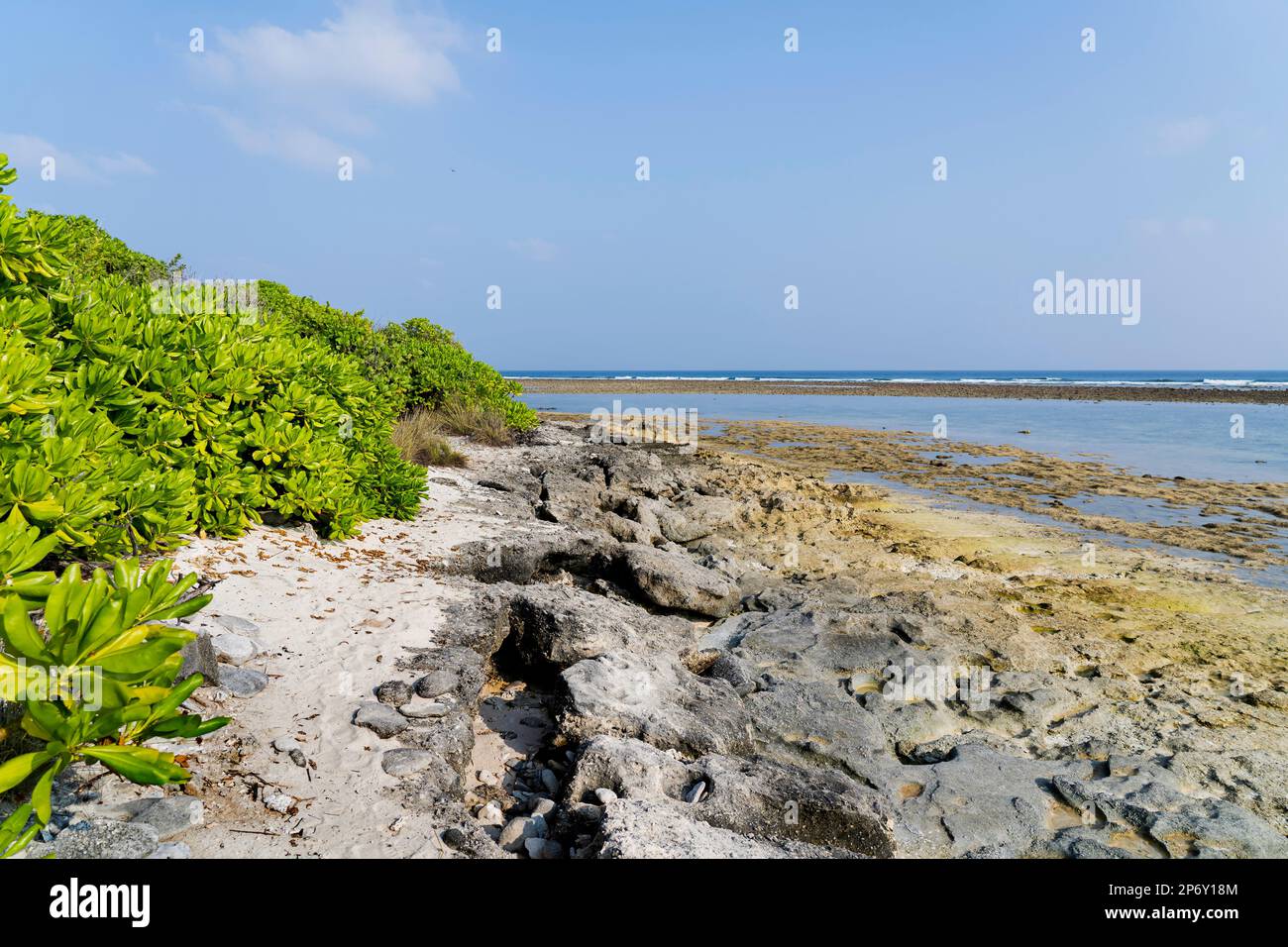 Lakshadweep Reef In India