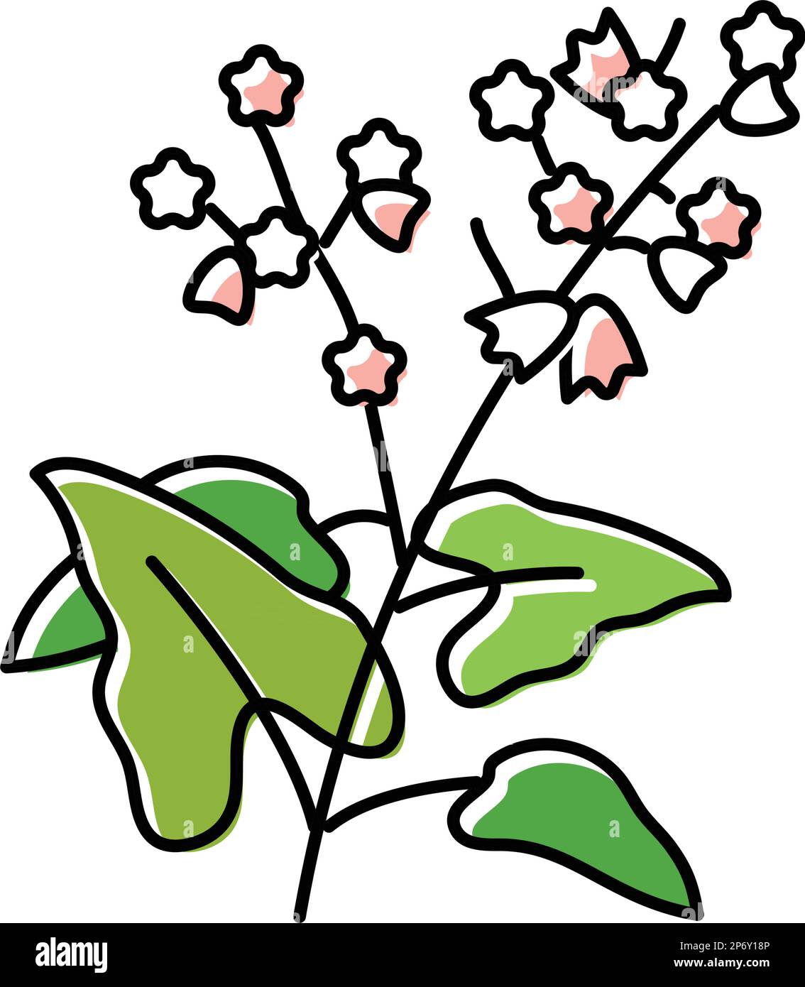 buckwheat plant healthy color icon vector illustration Stock Vector ...