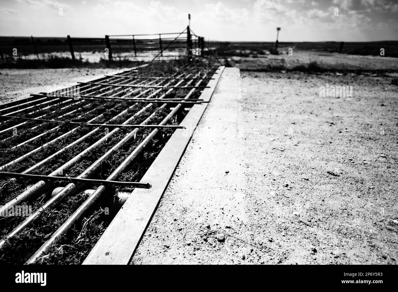 Metal cattle crossing ground gate with weeds growing between Stock ...