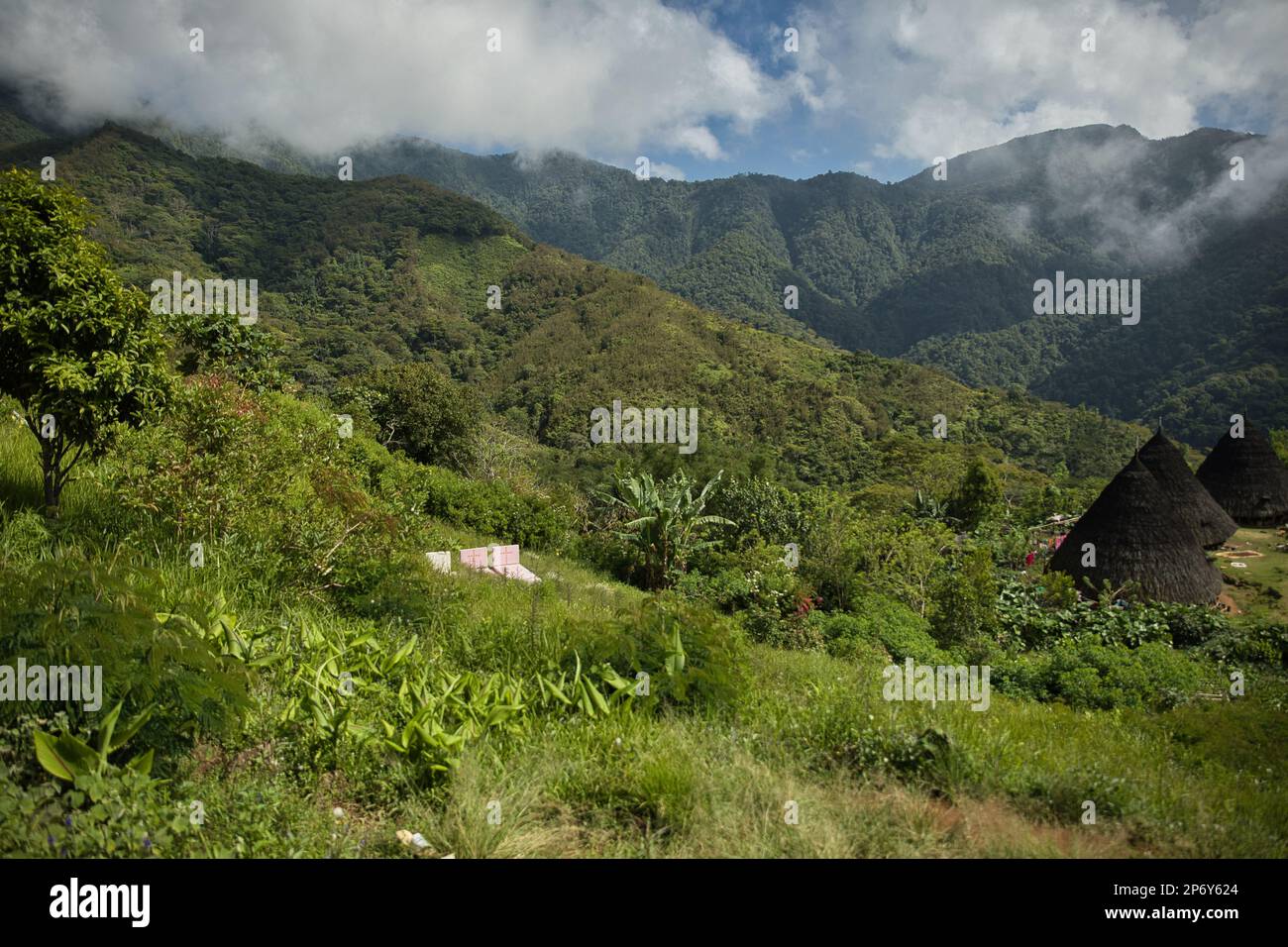 Panoramic view from above of a hill from the hilly rainforest mountain ...