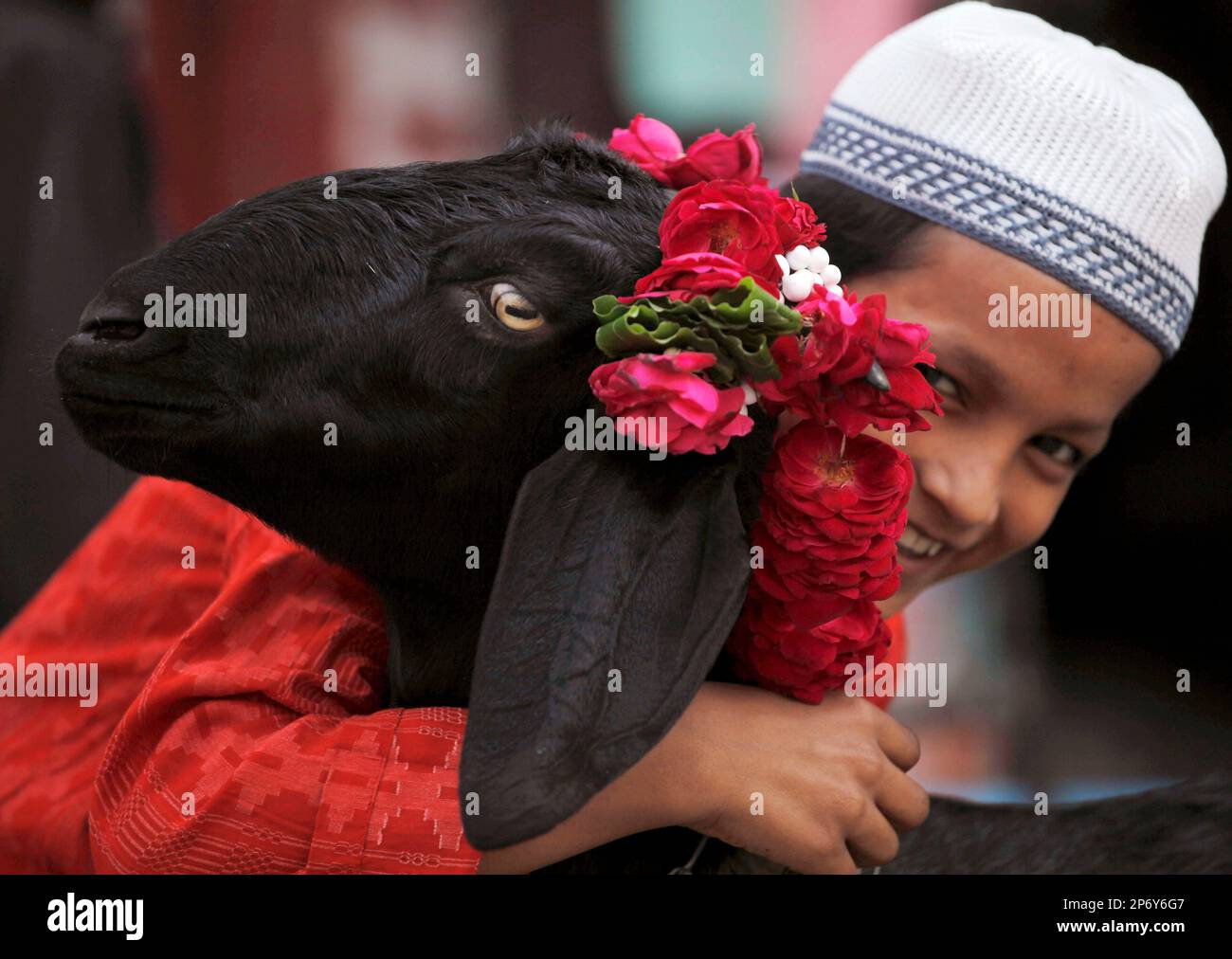 A young Indian Muslim boy smiles with a sacrificial goat on Eid-al-Adha ...