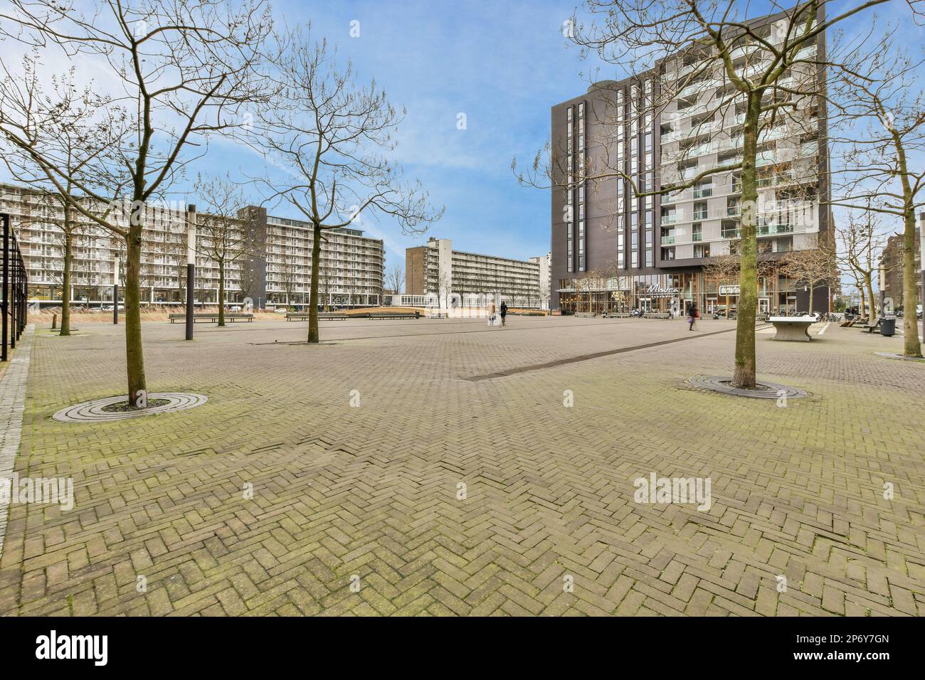 some trees in the middle of a bricked area with buildings in the ...