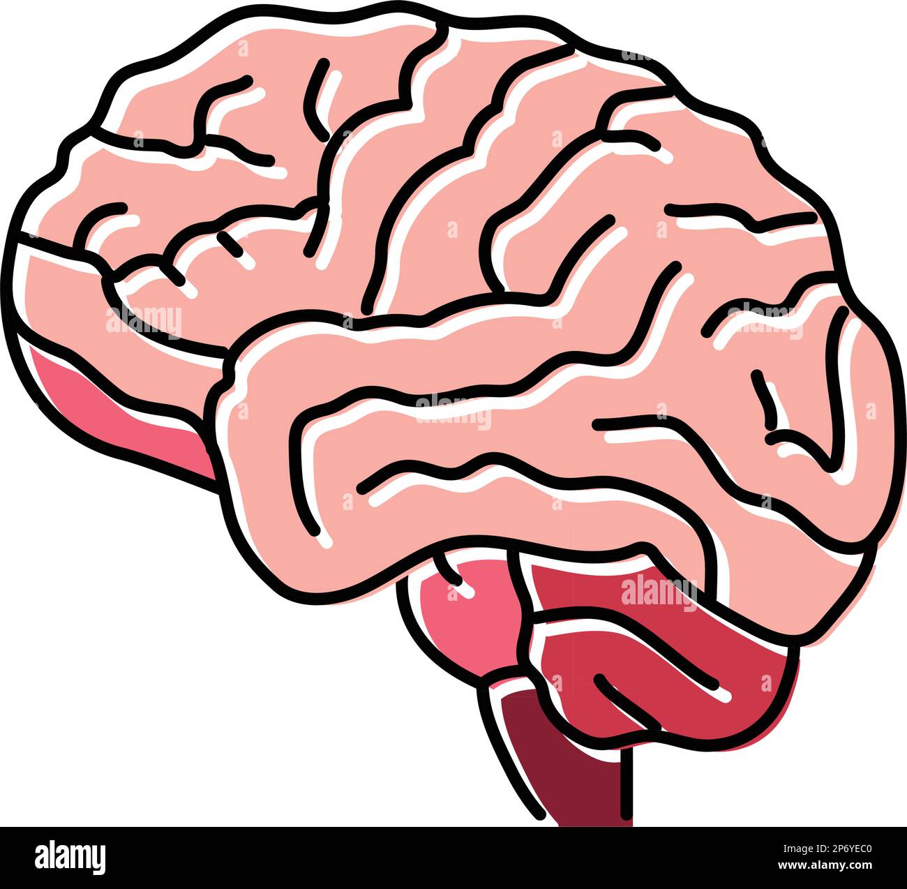 human brain human color icon vector illustration Stock Vector Image ...