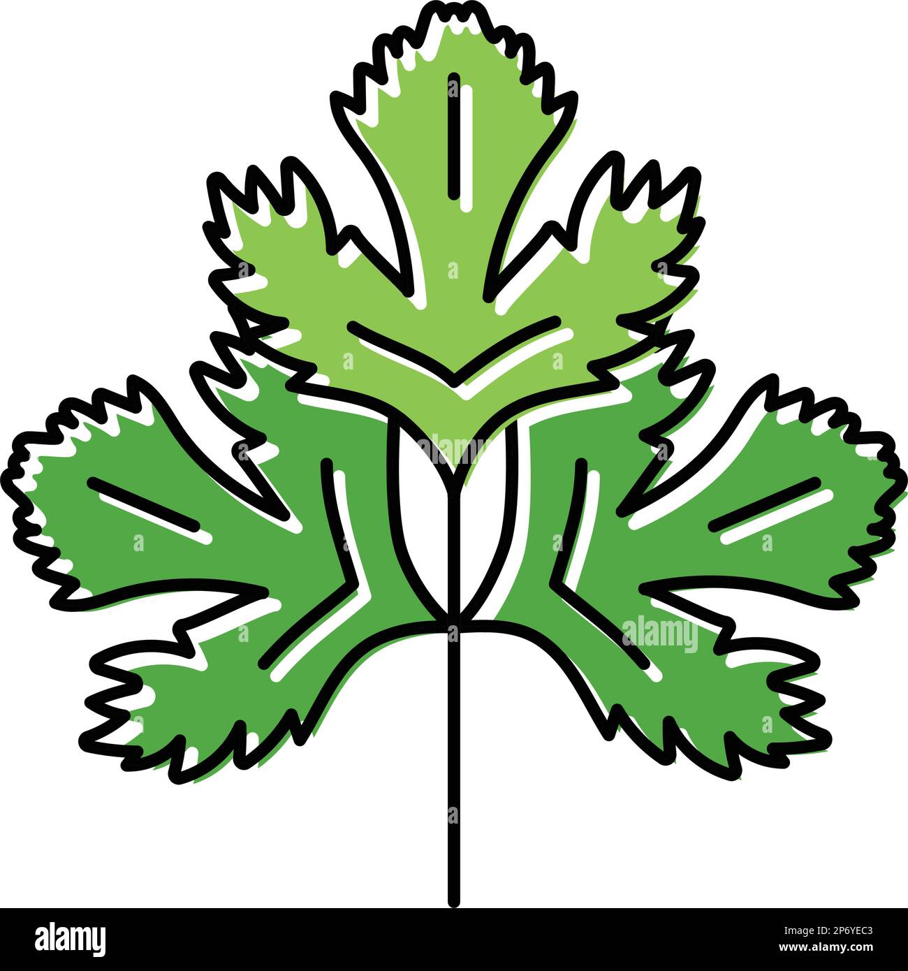 cilantro salad food color icon vector illustration Stock Vector Image ...