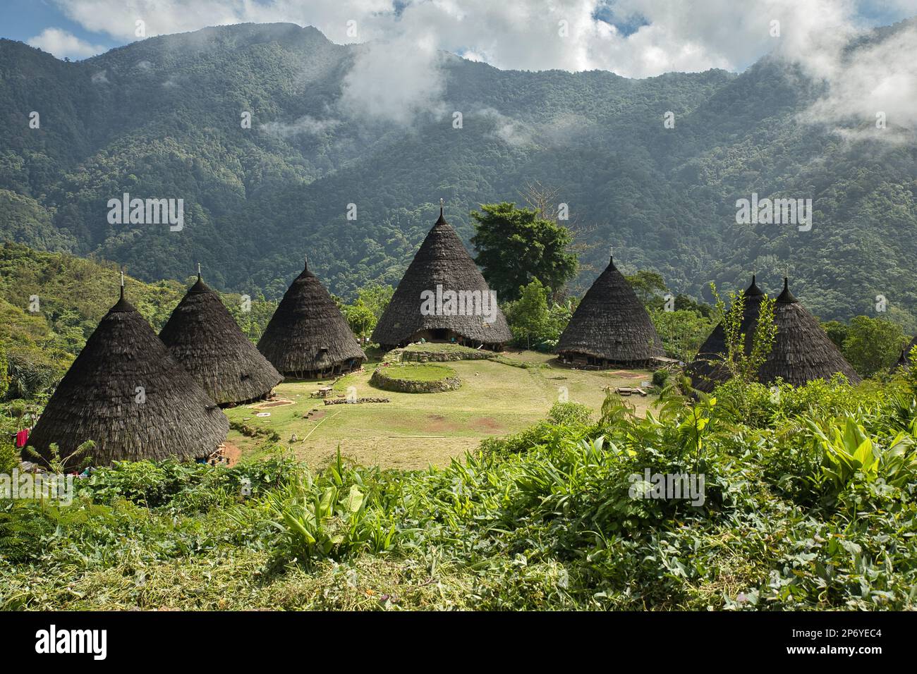 The conical thatched huts of the traditional village of Wae Rebo on ...