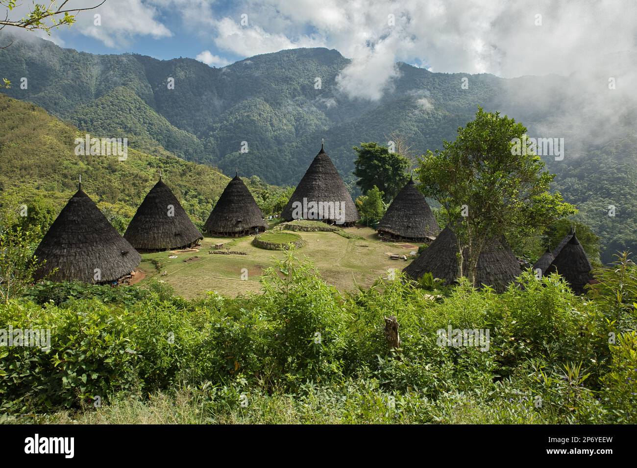 The conical thatched huts of the traditional village of Wae Rebo on ...