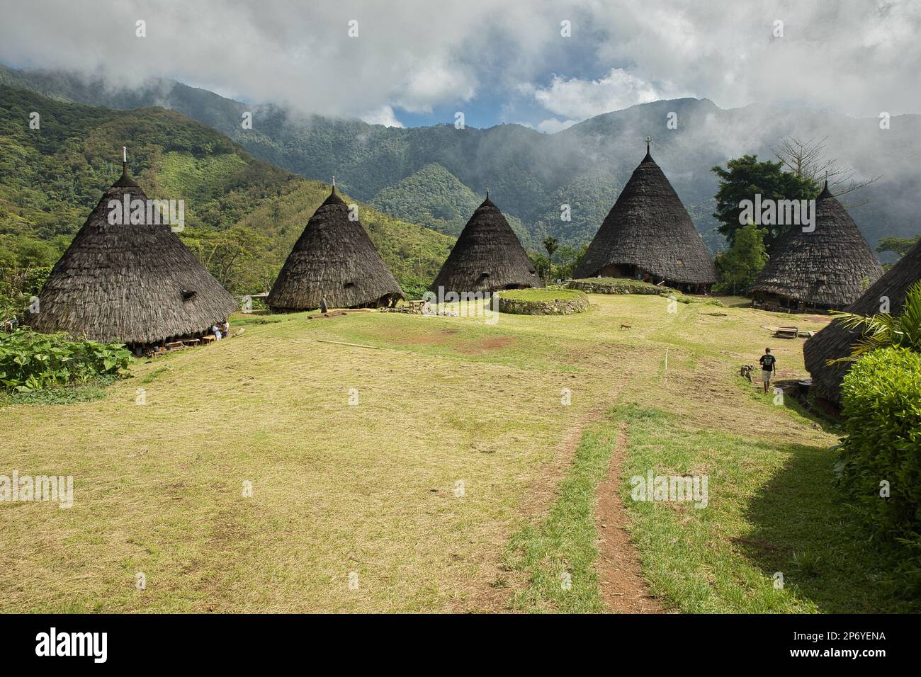The conical thatched huts of the traditional village of Wae Rebo on ...