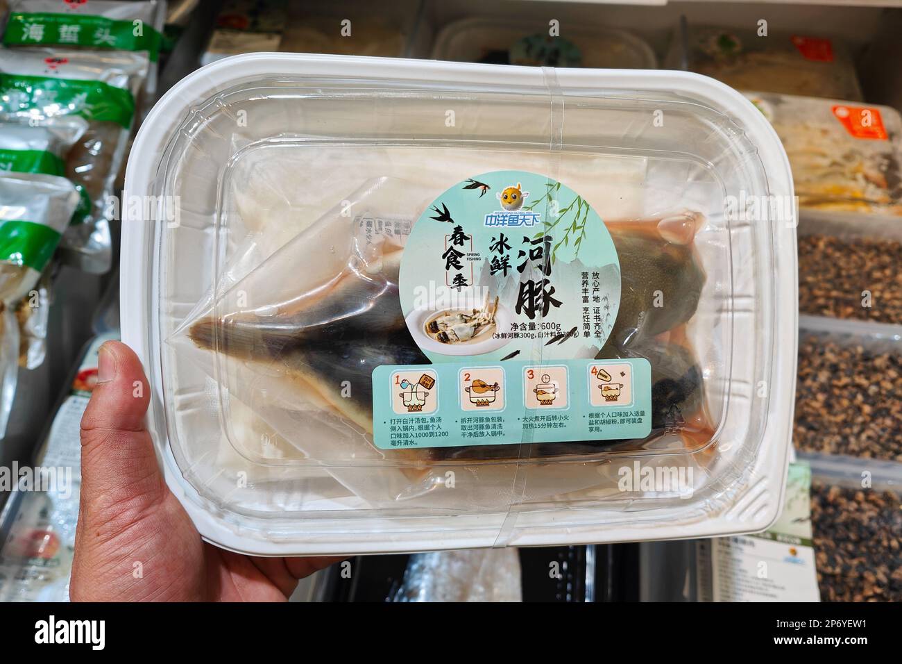 SHANGHAI, CHINA - MARCH 8, 2023 - Chilled puffer fish are seen at a ...