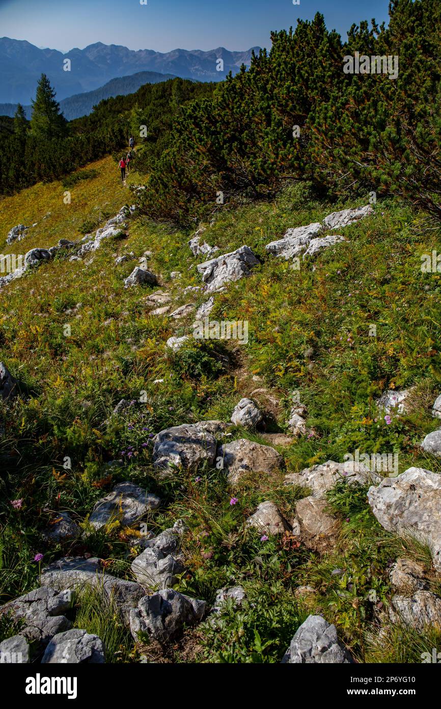 Mountain path in high mountains Stock Photo - Alamy