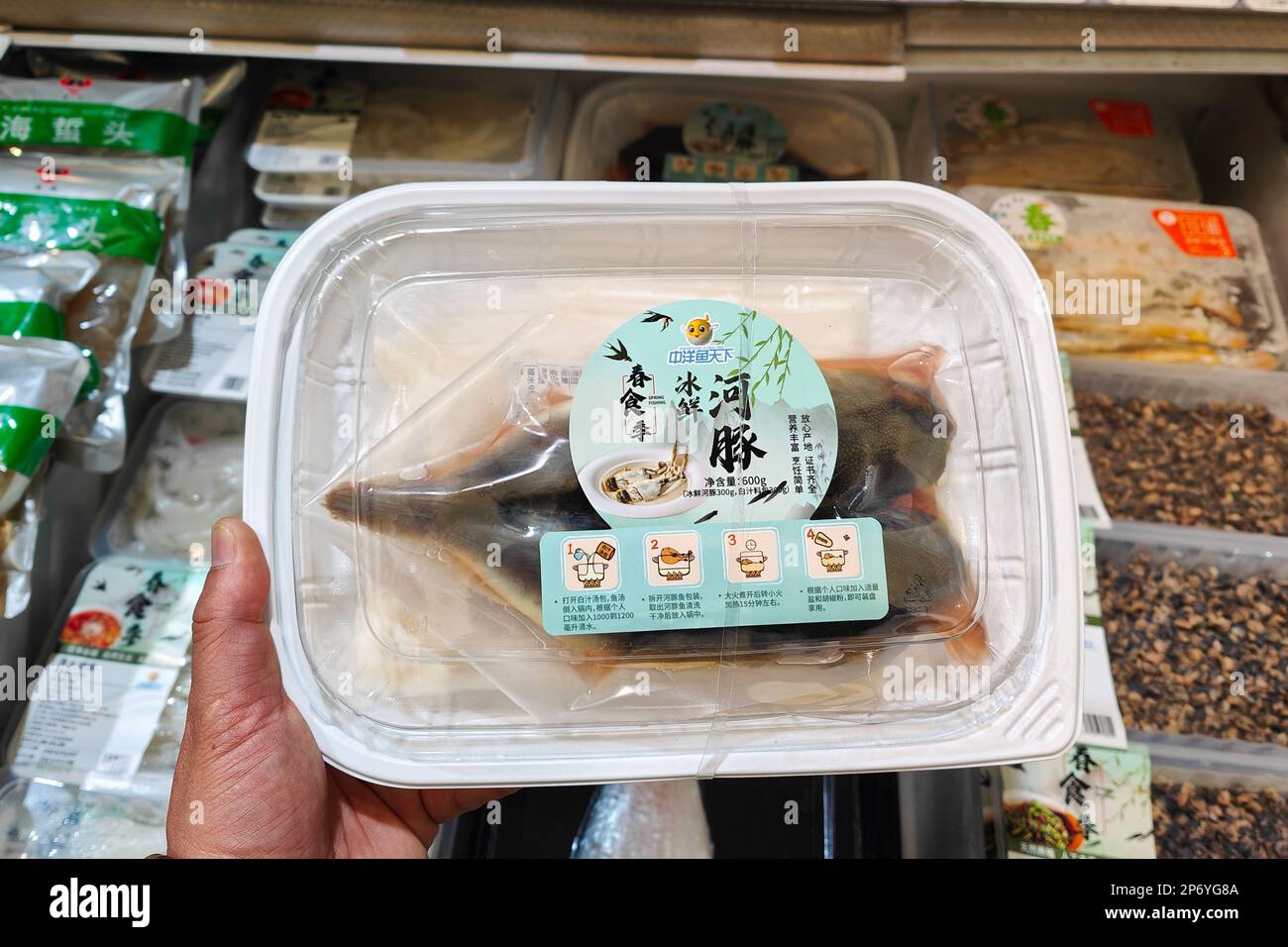 SHANGHAI, CHINA - MARCH 8, 2023 - Chilled puffer fish are seen at a ...