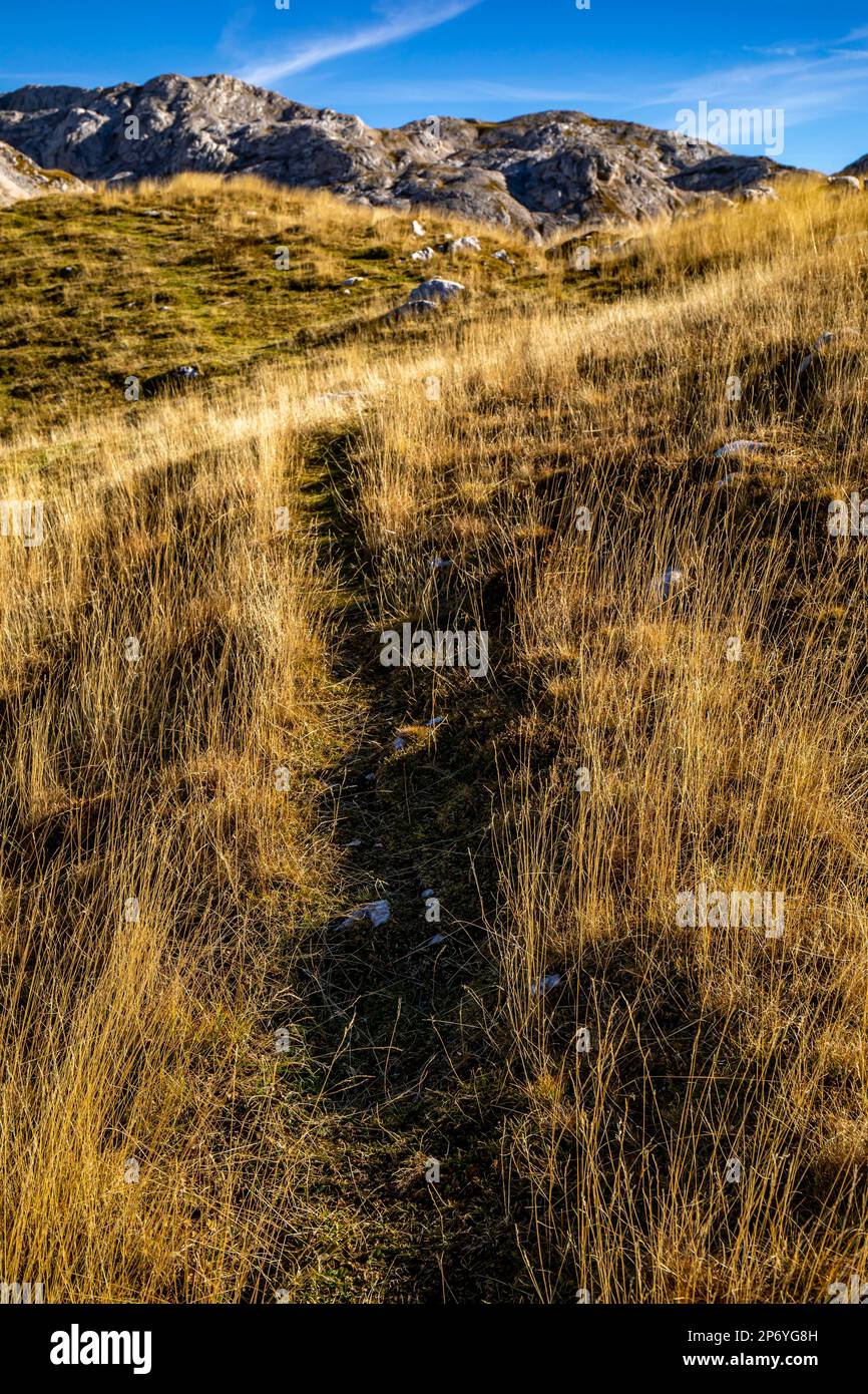 Mountain path in high mountains Stock Photo - Alamy