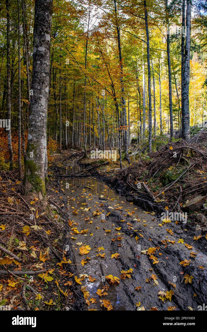 Mountain path in high mountains Stock Photo - Alamy