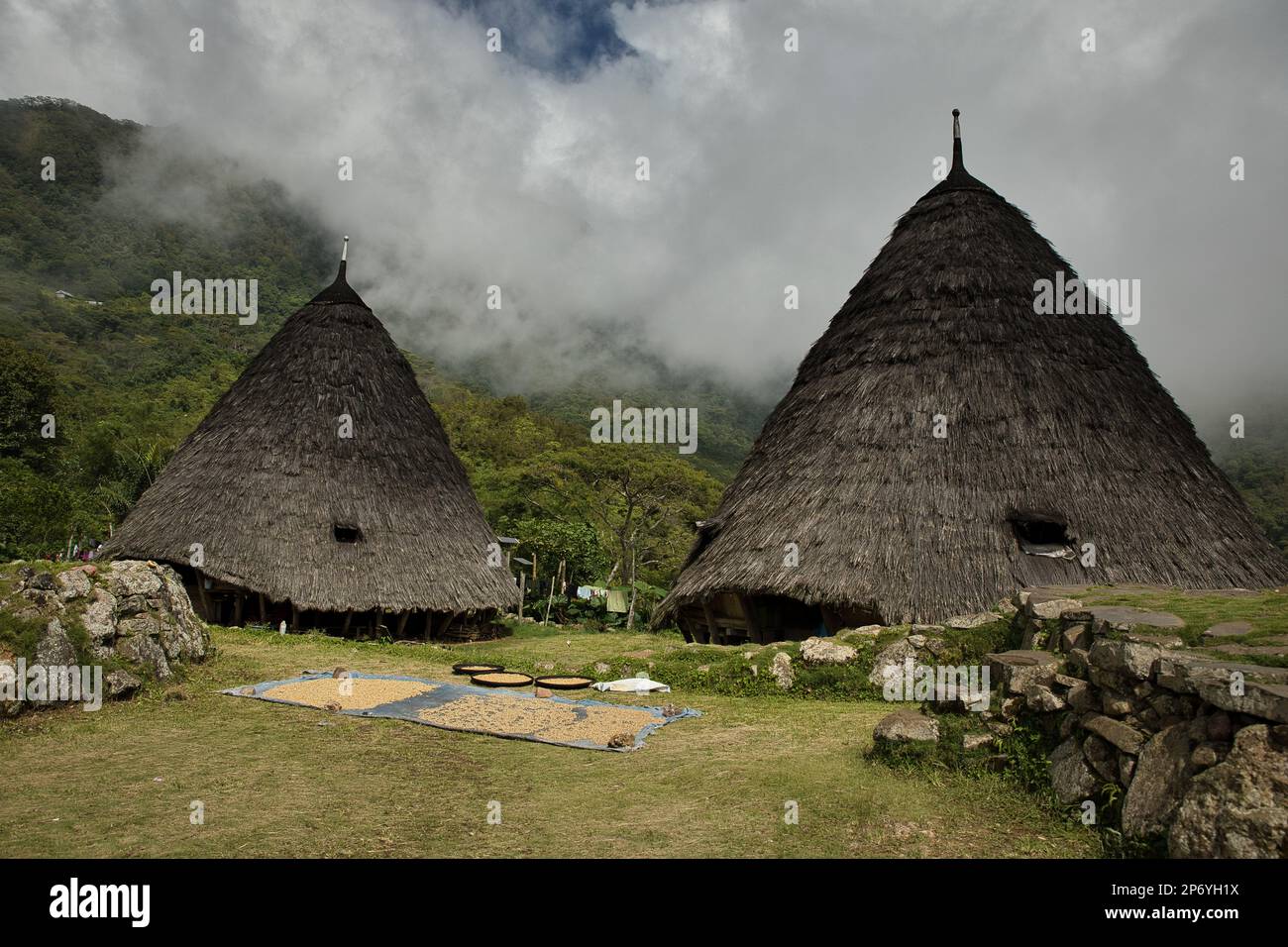 Close-up of conical thatched huts from traditional Wae Rebo Village on ...