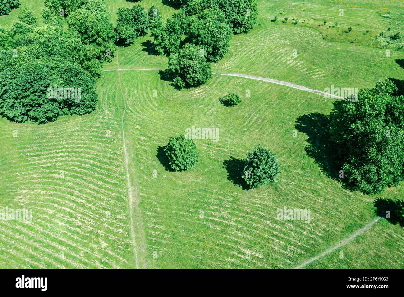 aerial view of summer park landscape with green trees, a cut lawn and ...