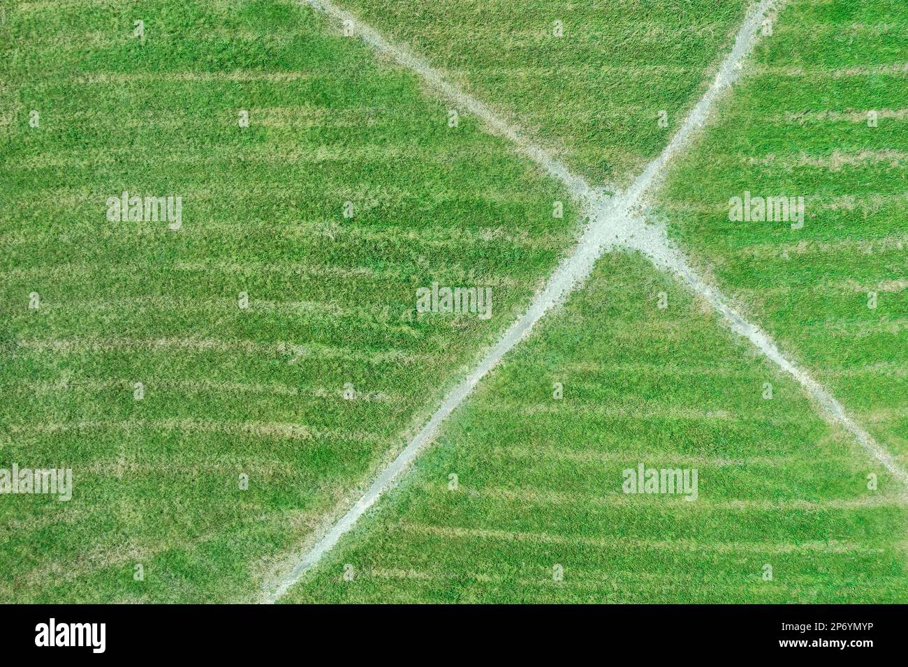 striped green grass texture background with walking paths intersection ...