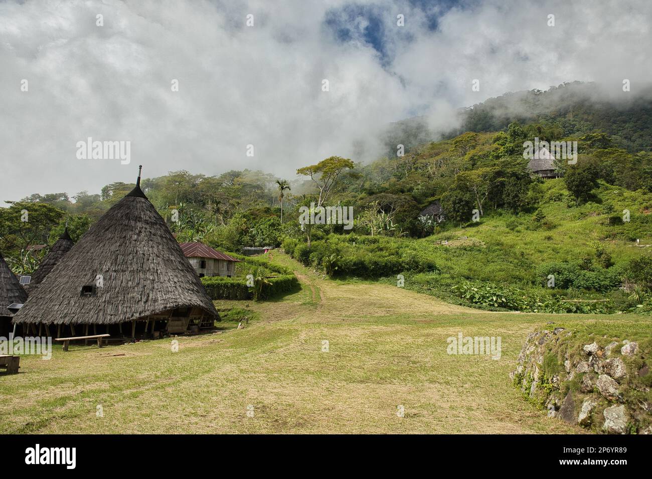 Close-up of a conical thatched hut of the traditional village of Wae ...