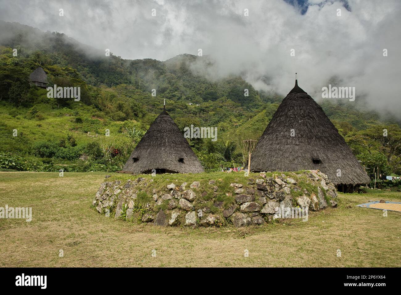 Close-up of the conical thatched huts of the traditional village of Wae ...