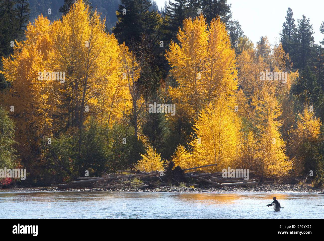 A fly fisherman tries his luck in the Naches River against a backdrop ...