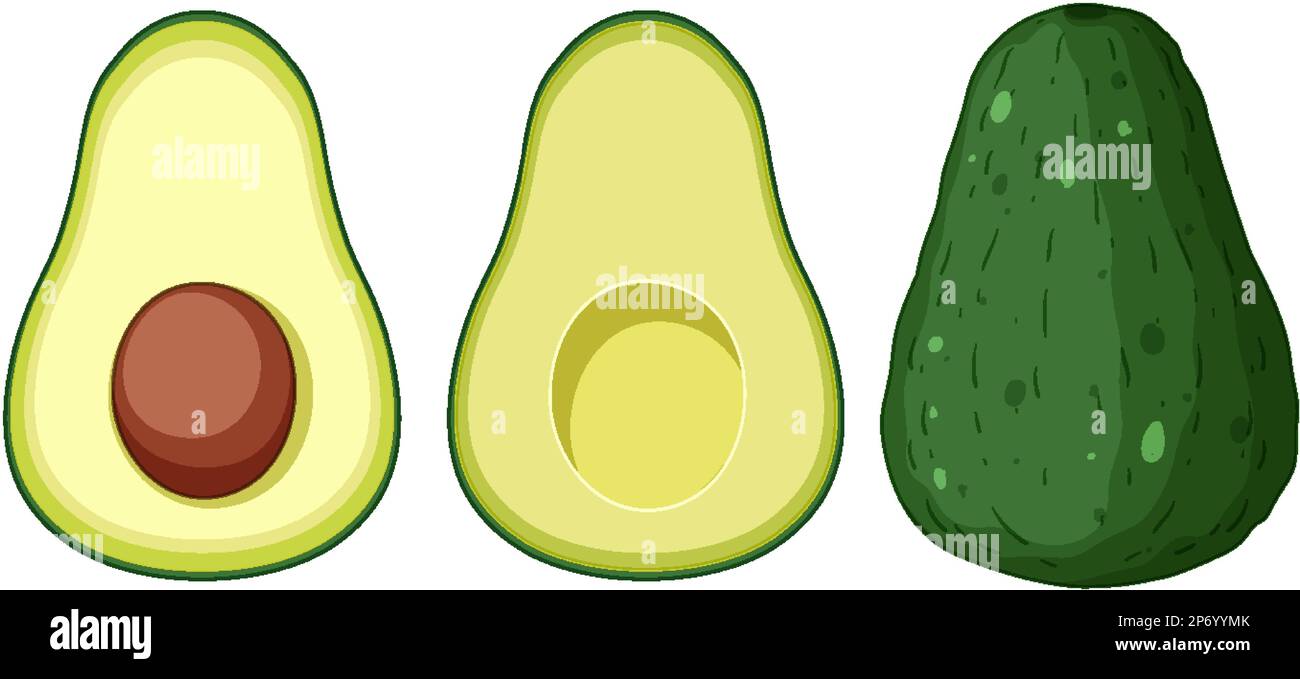 Set of avocado fruit cartoon illustration Stock Vector Image & Art - Alamy