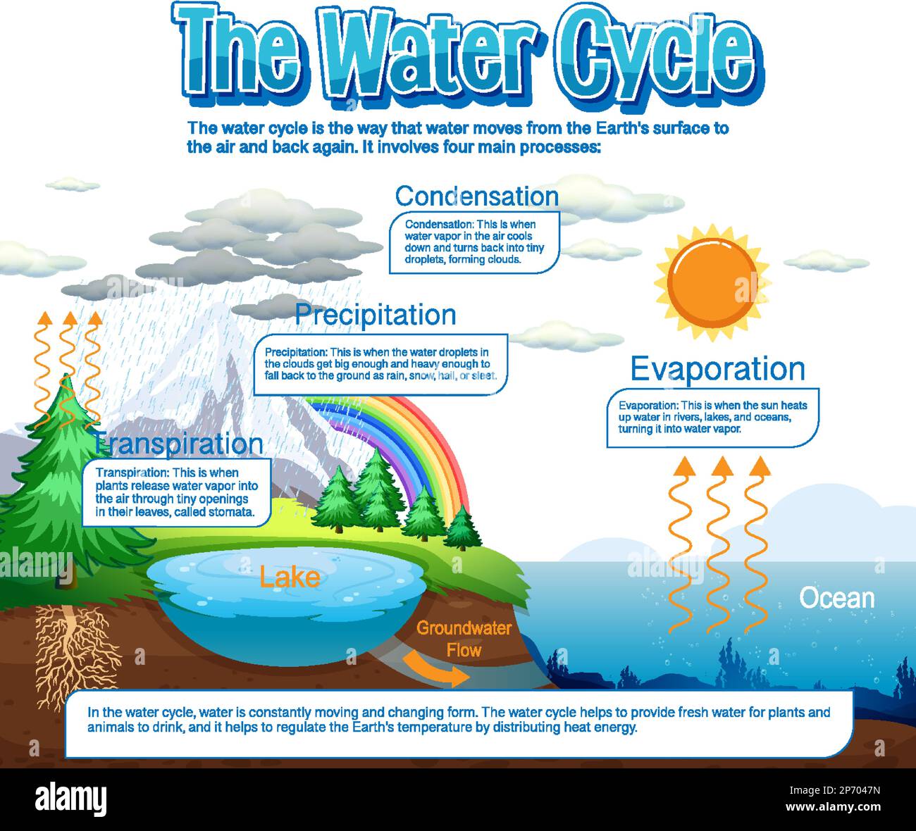The water cycle diagram for science education illustration Stock Vector ...