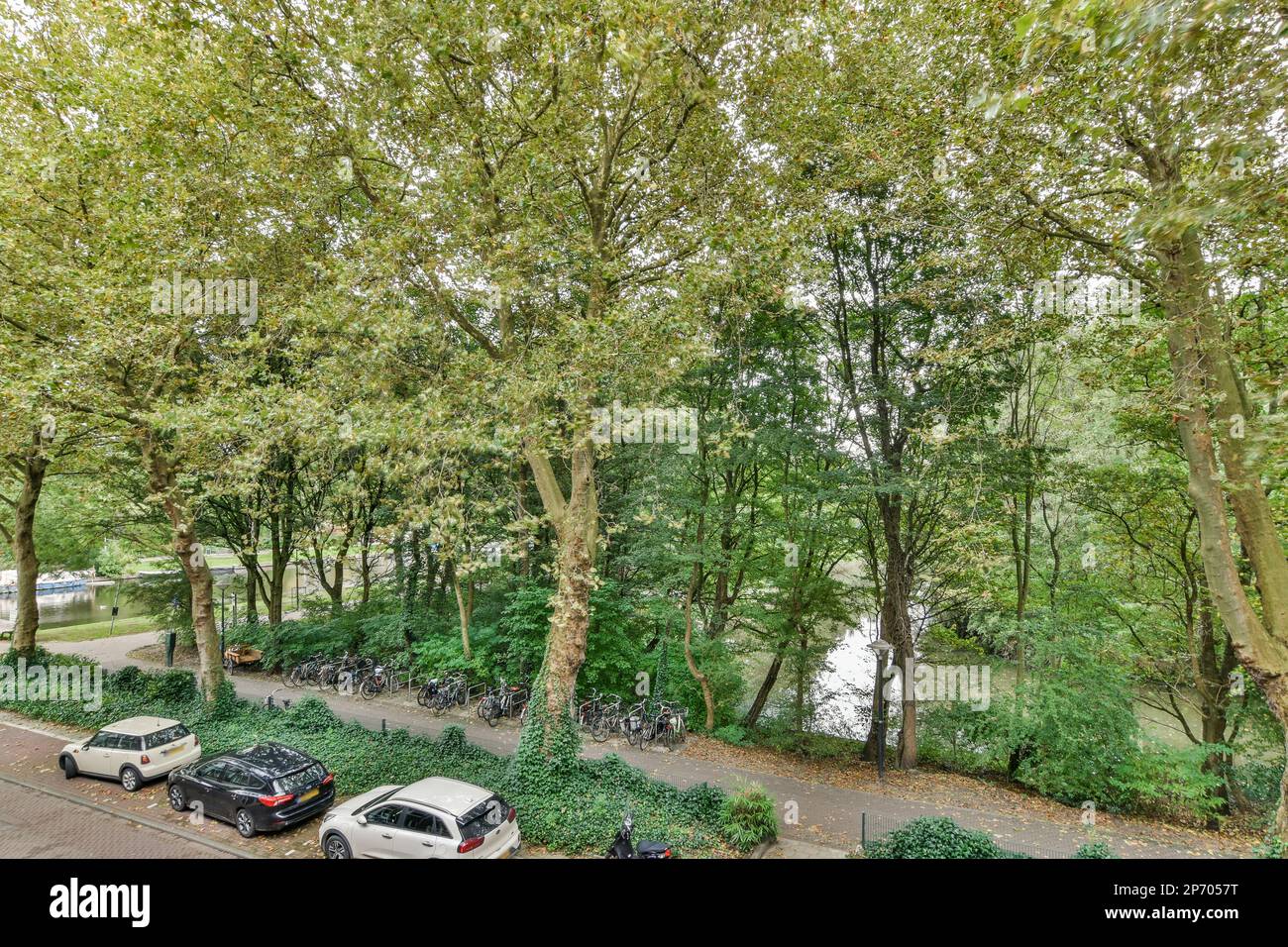 trees and cars on the street in front of an apartment building, taken ...
