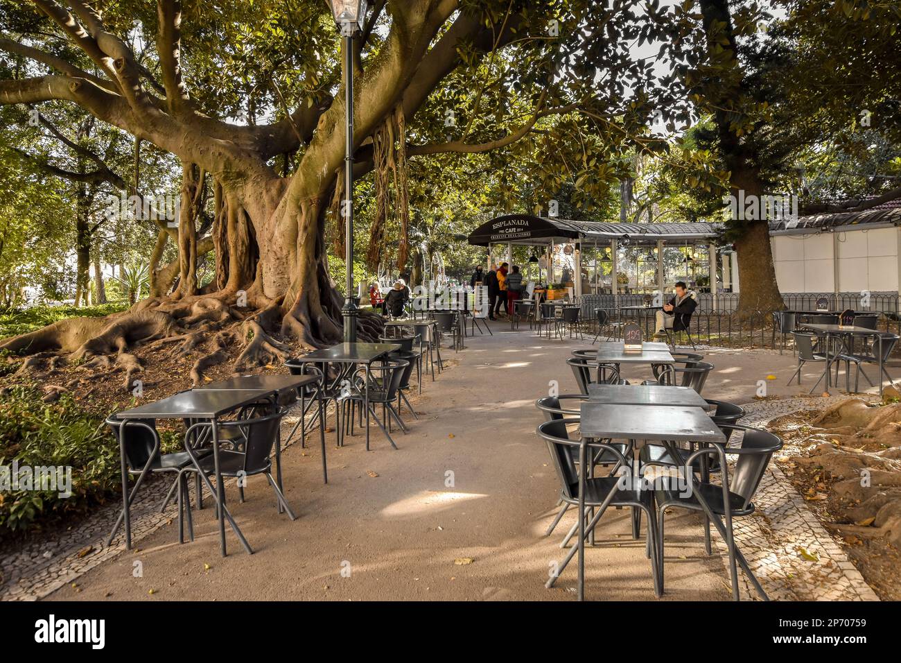 an outdoor area with tables and chairs under a large tree that has ...