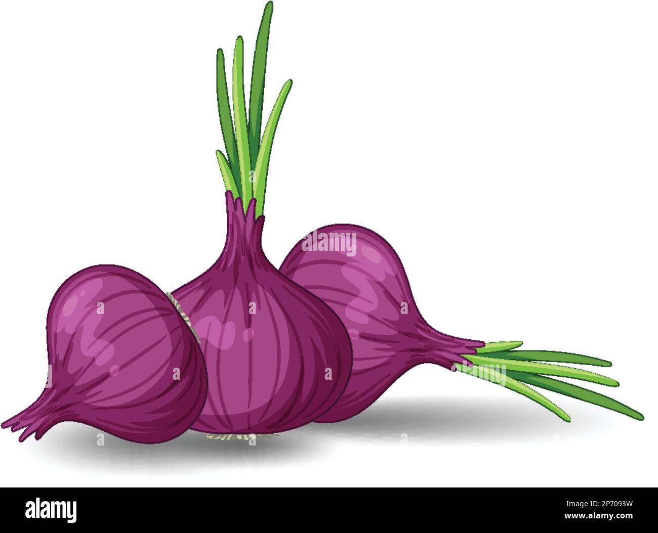 Isolated red onion cartoon illustration Stock Vector Image & Art - Alamy