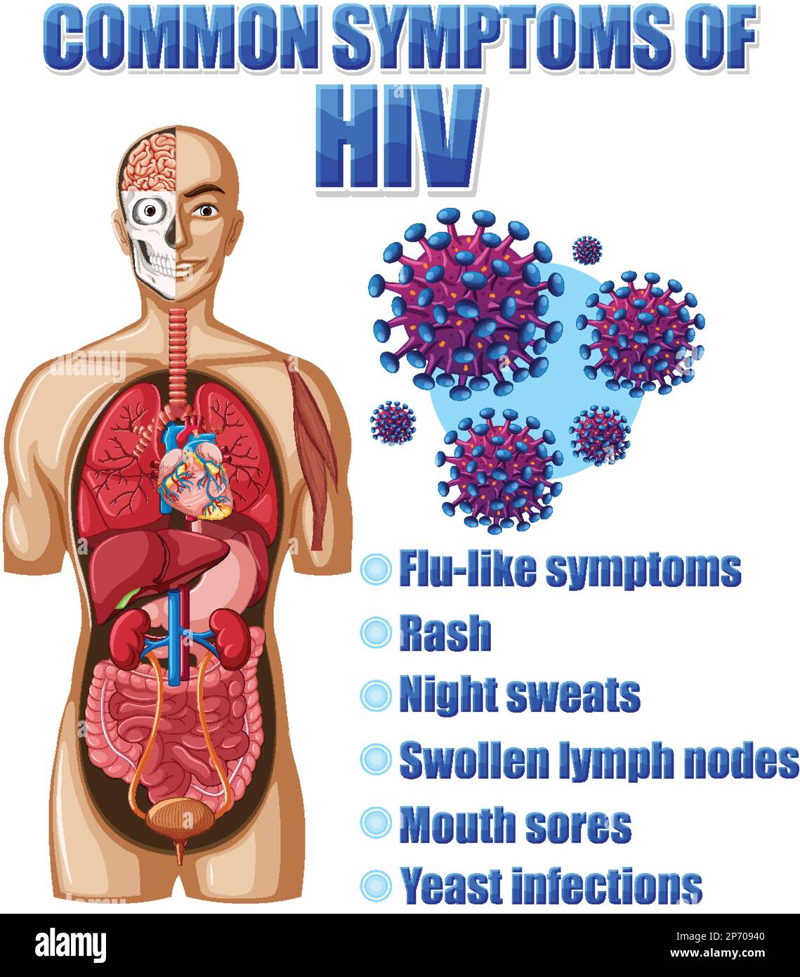Informative Poster Of Common Symptoms Of Hiv Illustration Stock Vector