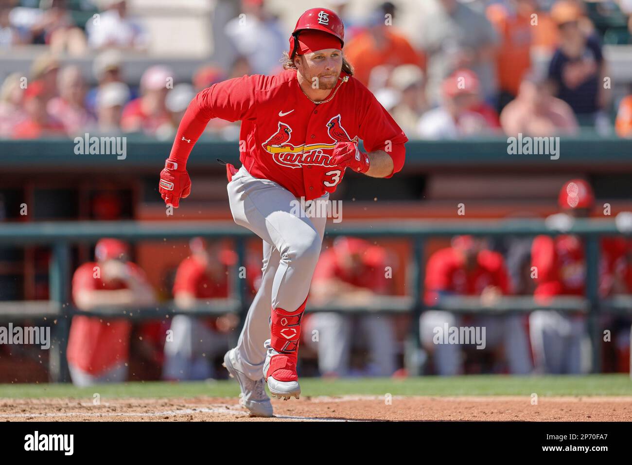 Lakeland FL USA; St. Louis Cardinals second baseman Brendan Donovan (33 ...
