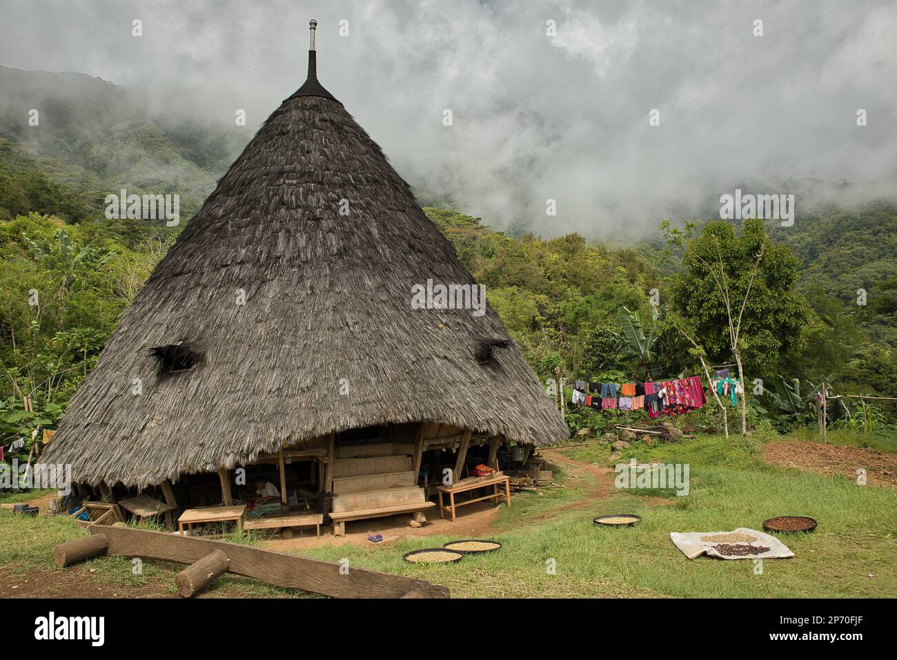 Close-up of a conical thatched hut of the traditional village of Wae ...