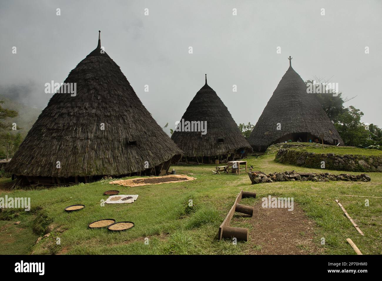 The conical thatched huts of the traditional village of Wae Rebo on ...