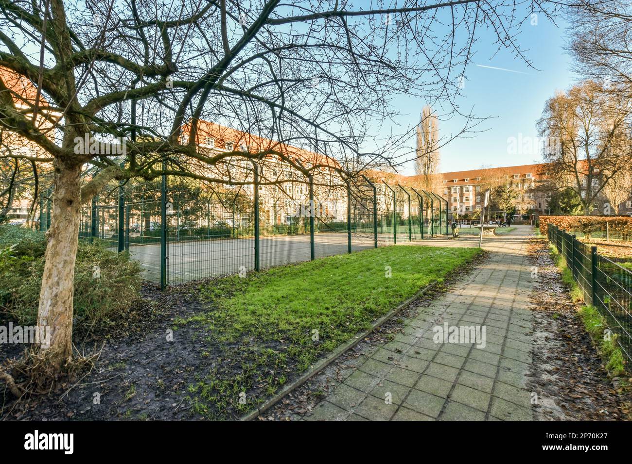 Amsterdam, Netherlands - 10 April, 2021: a tree in the middle of a park ...