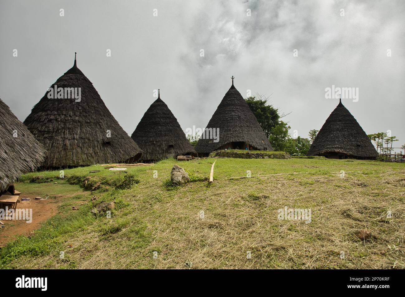 The conical thatched huts of the traditional village of Wae Rebo on ...