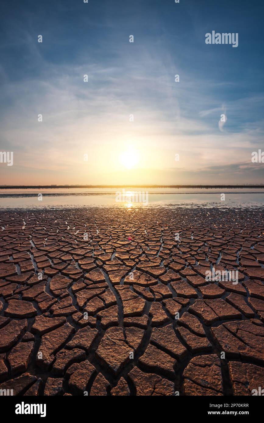 Cracked earth with grass texture hi-res stock photography and images ...