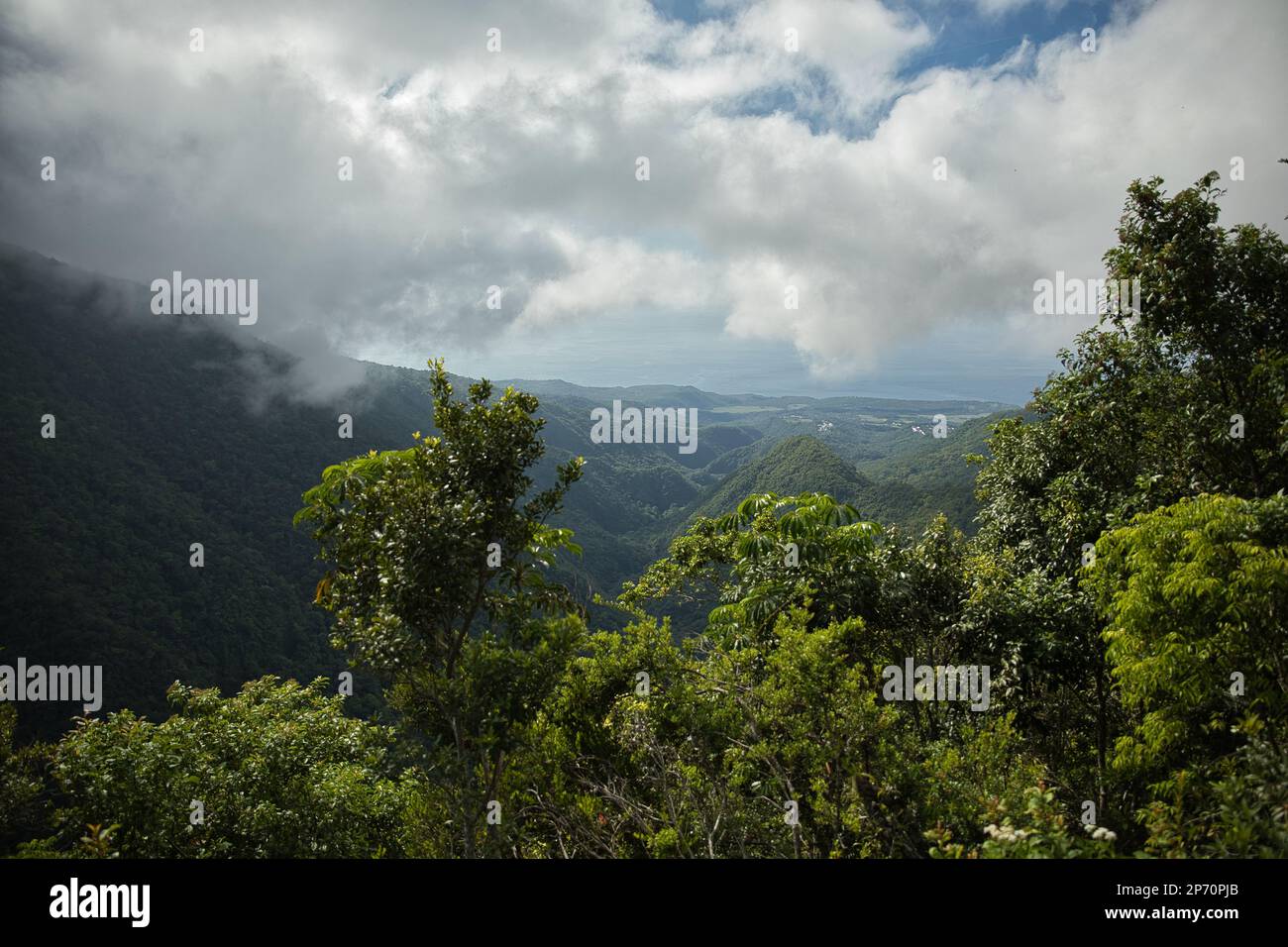 Panoramic view of a rainforest valley and hilly rainforest mountains on ...