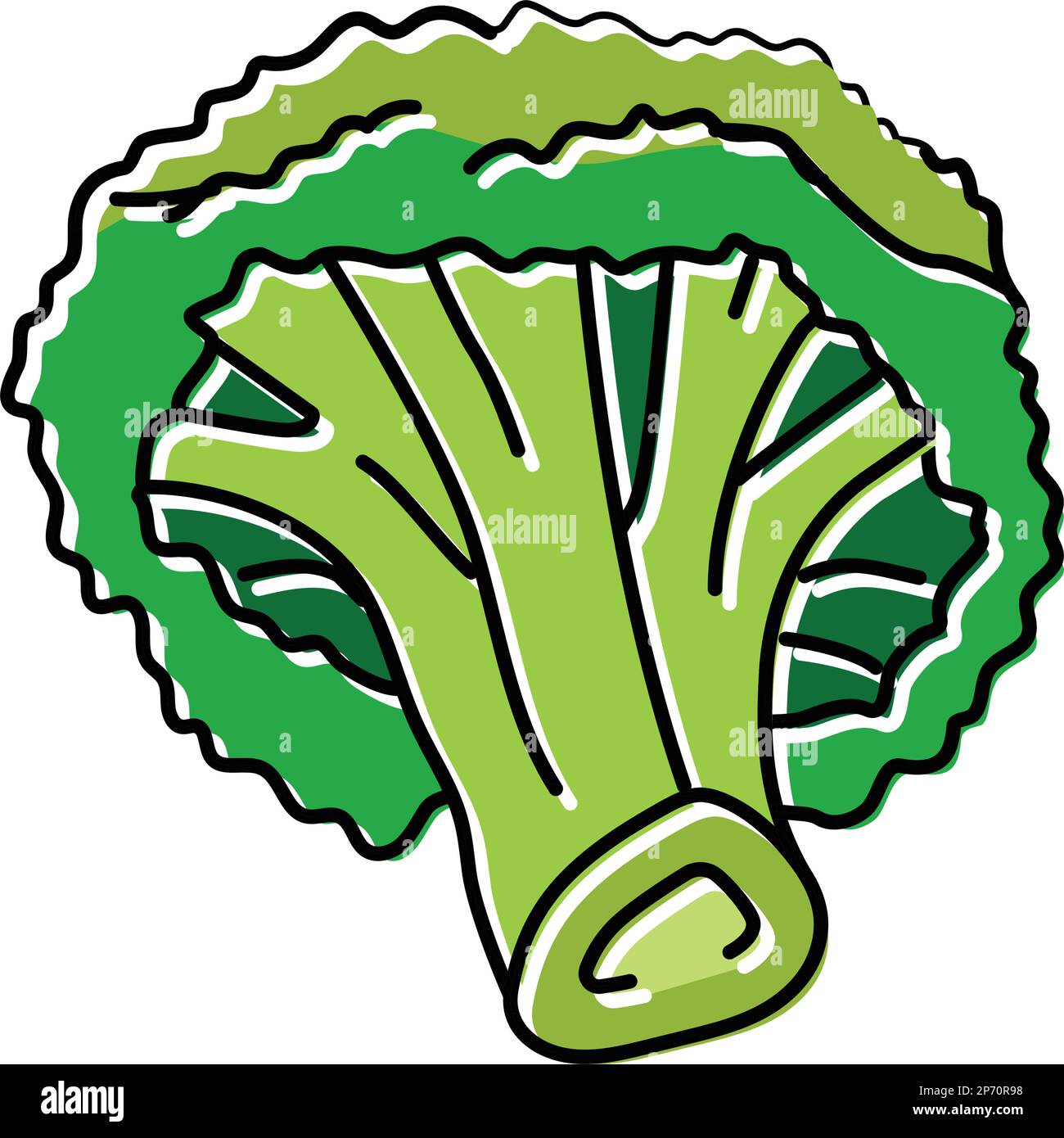 broccoli vegetable color icon vector illustration Stock Vector Image ...