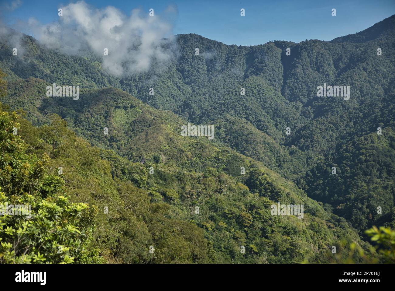Panoramic view from the top of a hill from the hilly rainforest ...