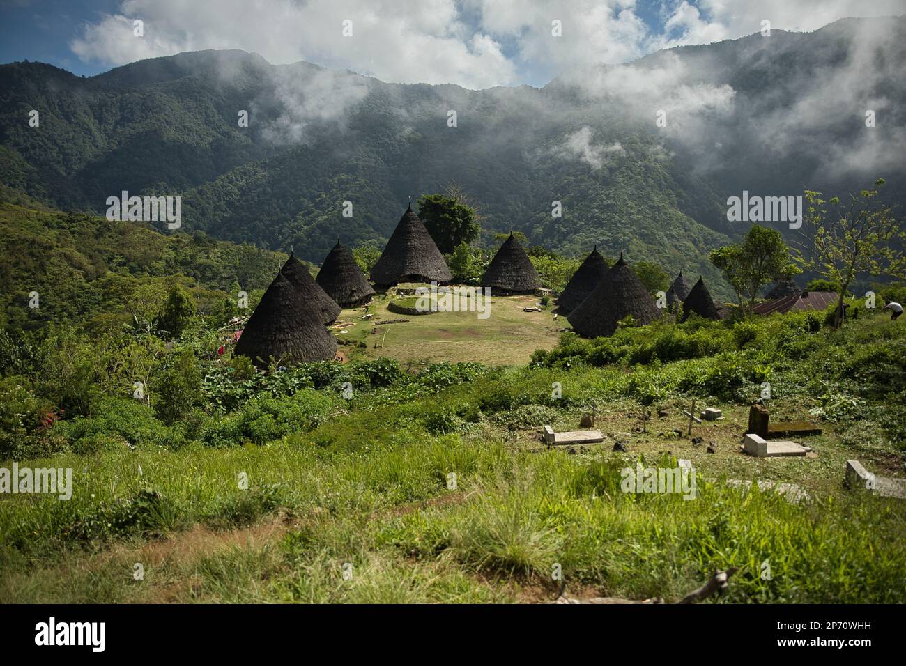The conical thatched huts of the traditional village of Wae Rebo on ...