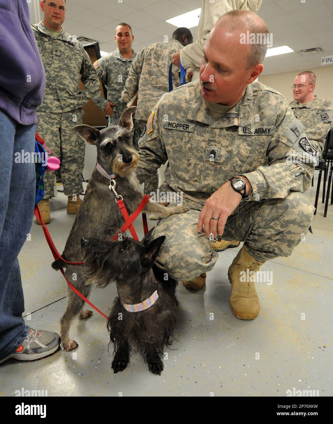 Dogs Welcoming Soldiers