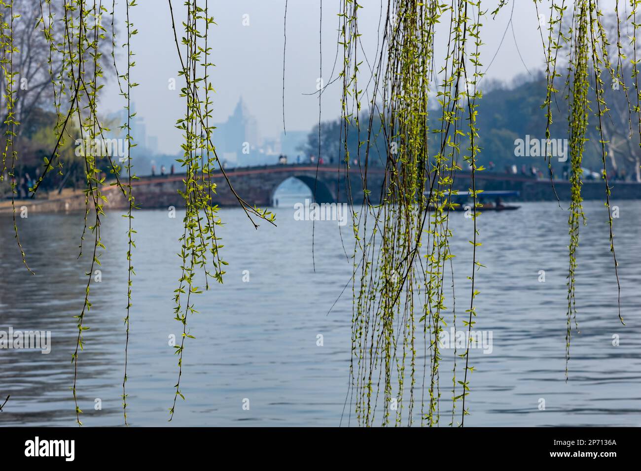 Beautiful spring scenery of the West Lake scenic area attract many ...