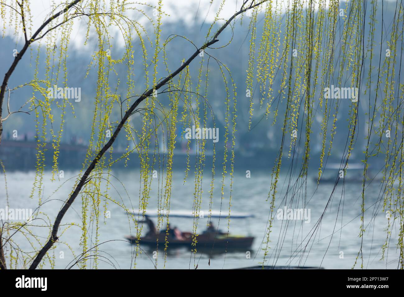 Beautiful spring scenery of the West Lake scenic area attract many ...
