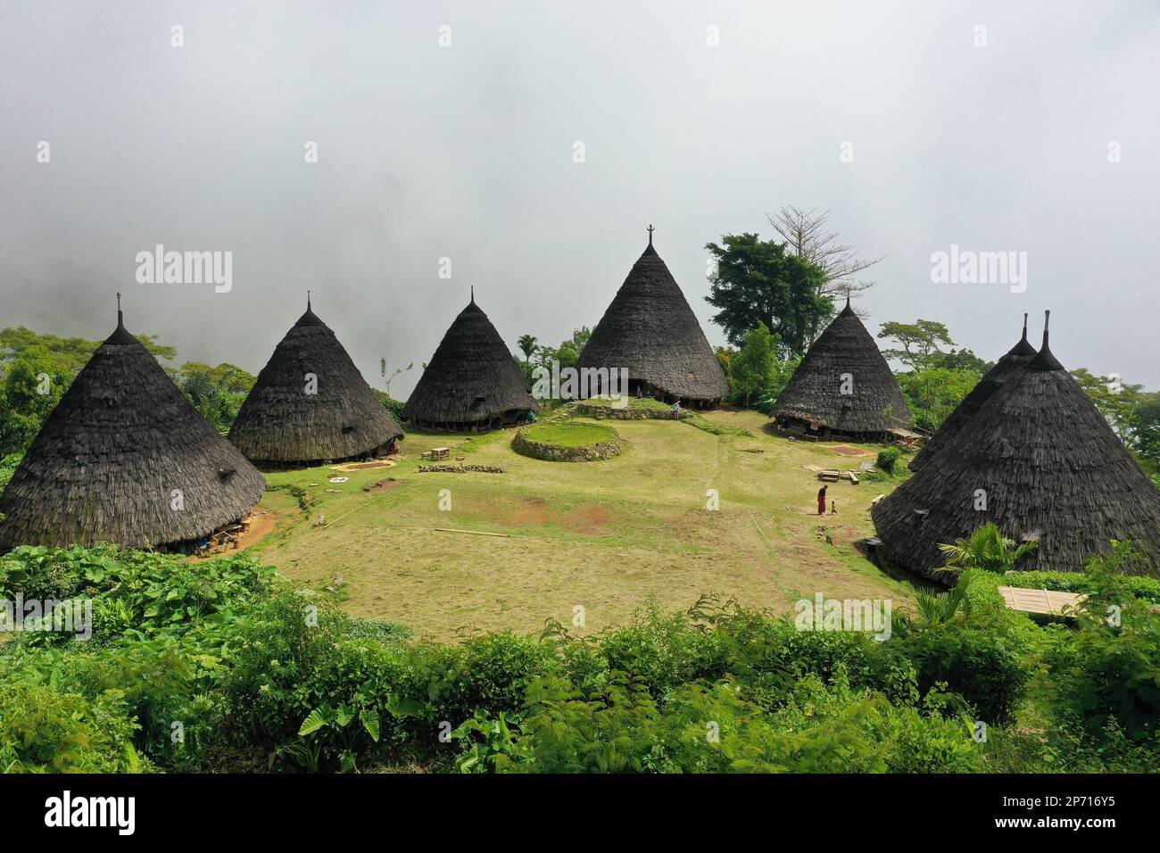 The conical thatched huts of the traditional village of Wae Rebo on ...