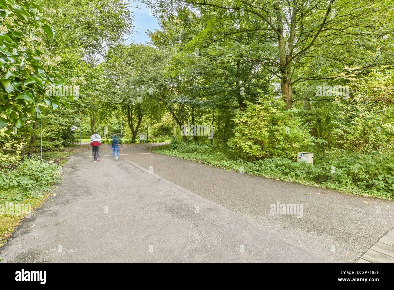 two people walking down a path in the woods on a sunny day with blue ...