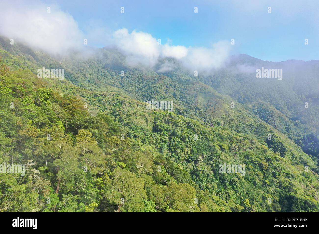Panoramic view from the top of a hill from the hilly rainforest ...