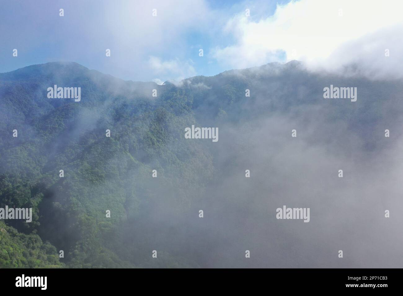 Panoramic view of a rainforest valley on Flores surrounded by a dense ...