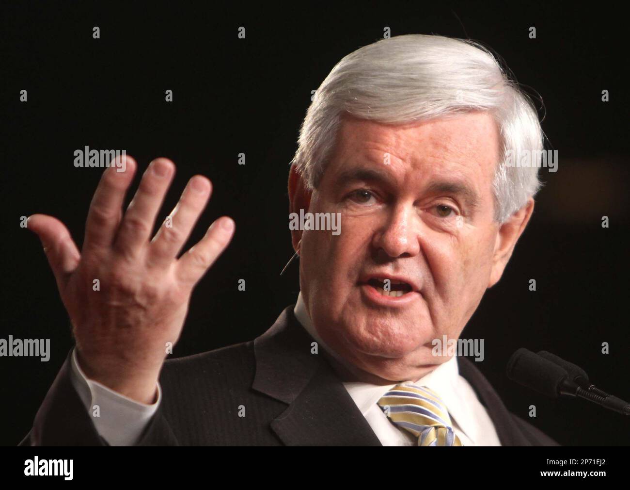 Republican Presidential Candidate Newt Gingrich Addresses The