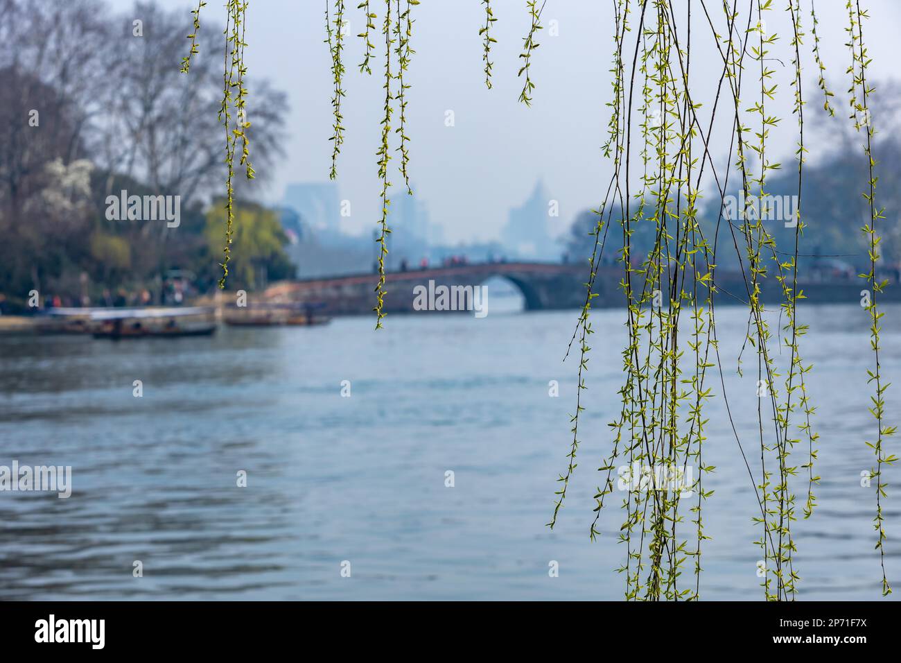 Beautiful spring scenery of the West Lake scenic area attract many ...